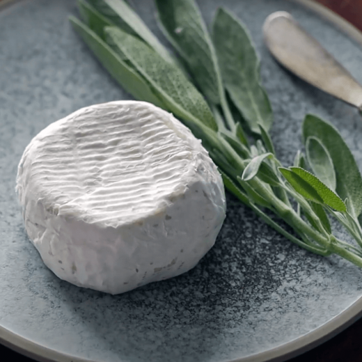 That's Amore: a multi award-winning company manufacturing a range of ...